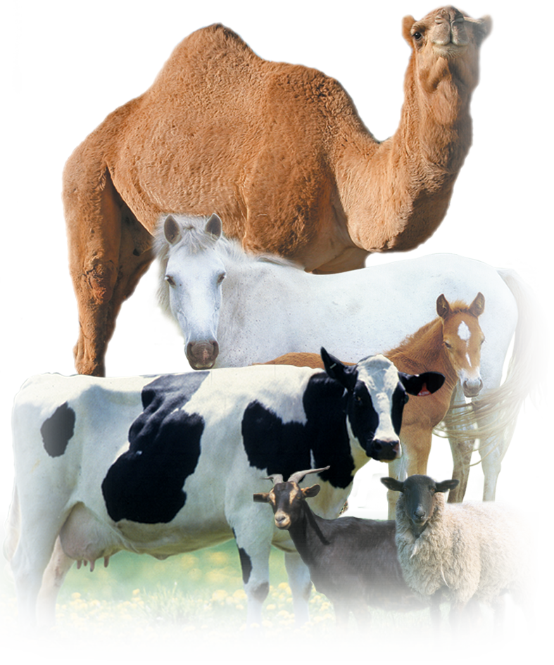 VAPCO | Product manufacturing co.ltd